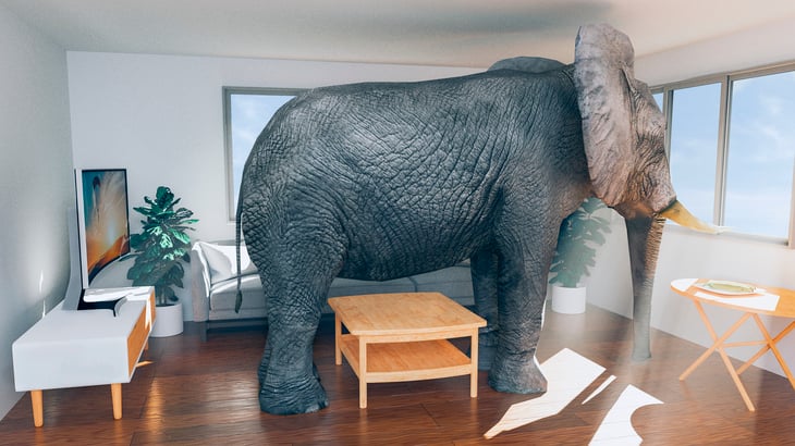 LGIM Blog: The elephant in the room